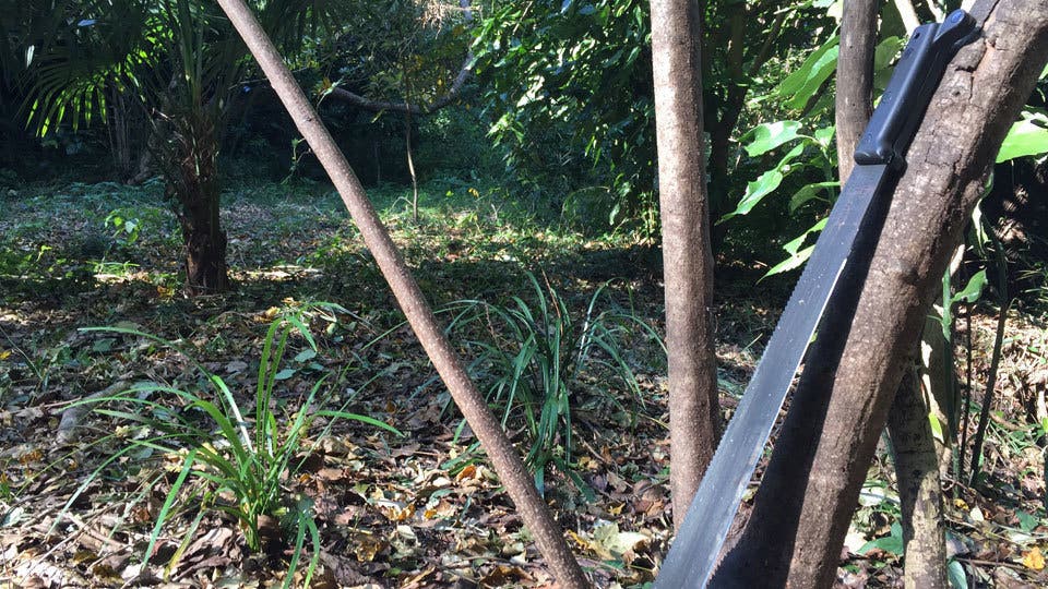 【鎌倉・極楽寺】星がまたたくヒルトップでブッシュクラフト＆キャンプの写真8