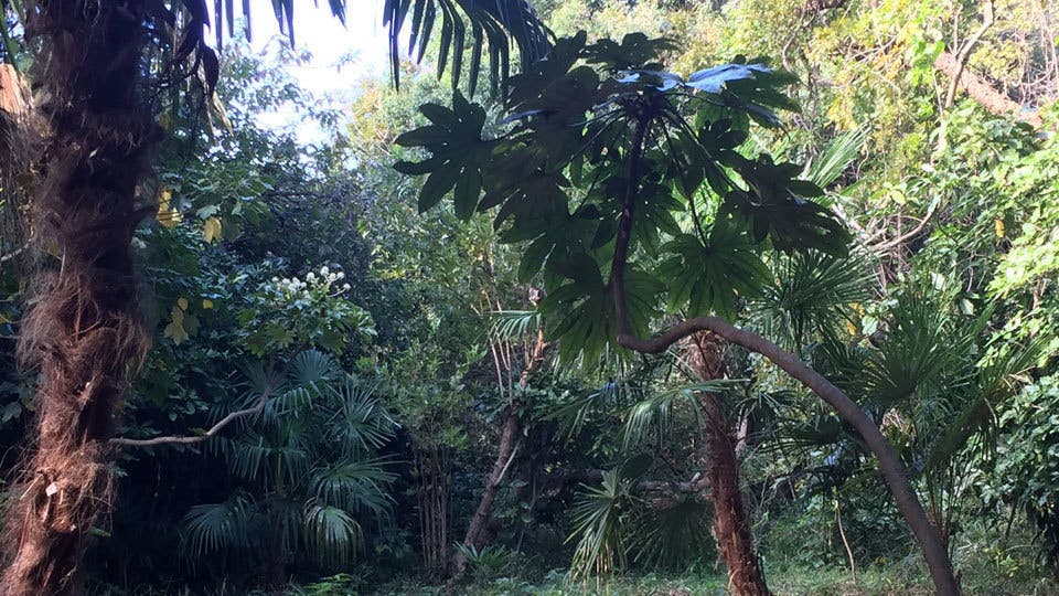 【鎌倉・極楽寺】星がまたたくヒルトップでブッシュクラフト＆キャンプの写真11