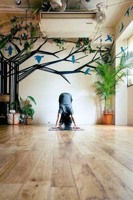 ヨガ、ダンス、撮影に最適！「自然光・窓全開換気」「”光”高速WIFI（ソフトバンク）」 渋谷・代官山駅近好立地 木床の暖かい空間の写真13