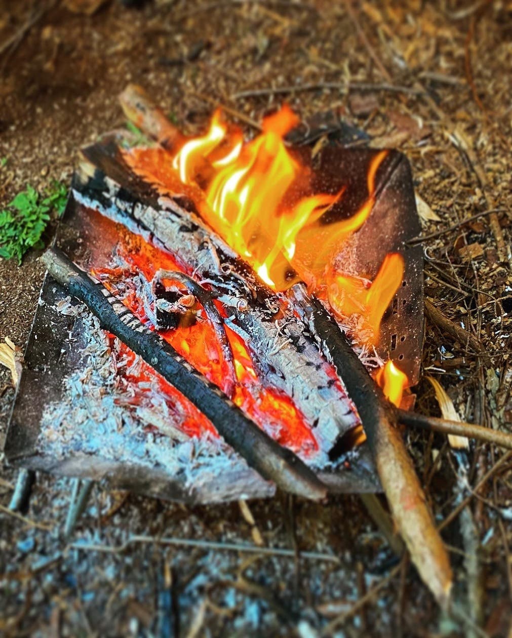 自然豊かな場所で様々な体験ができる場所ですの写真8