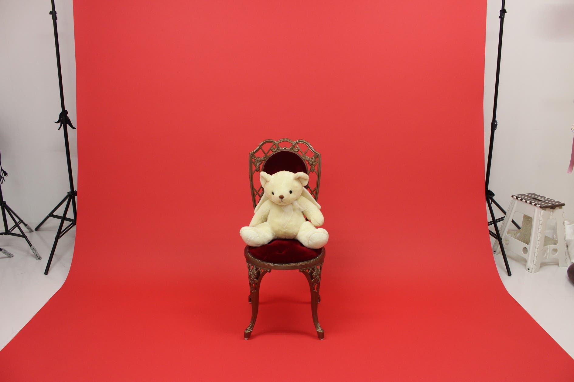 バック紙（プライマリーレッド）の画像1