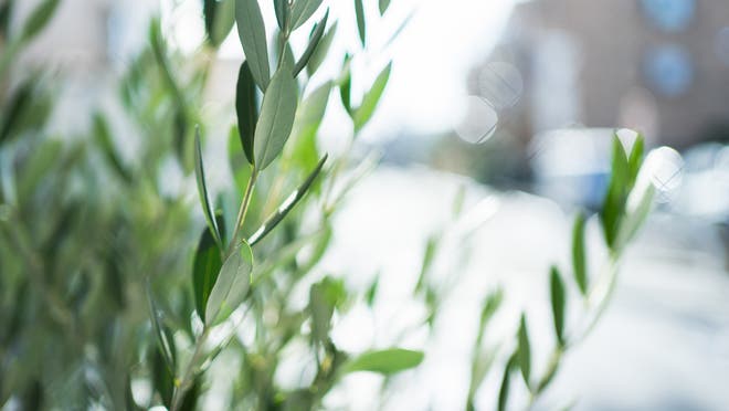 【Tree】路面♪明るい空間♪備品多数◎撮影、レッスンやワークショップ、会議に♩の写真2