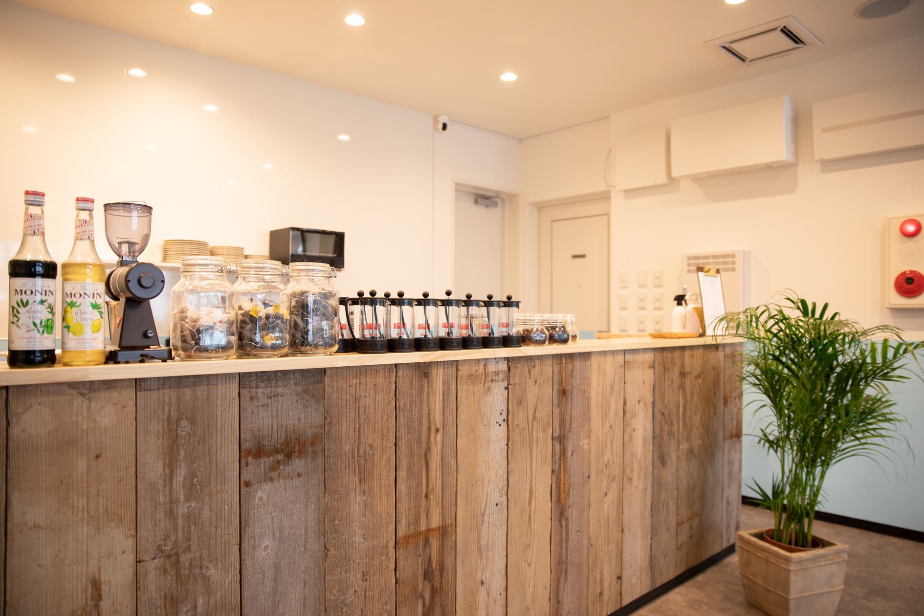 【初台駅2分おしゃれ海カフェ】撮影、配信（youtube/テレビ/映画）等実績多数。駐車場有。待機、メイクにホテル部屋使用も可の写真20