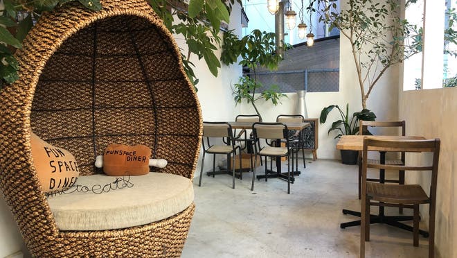 店内設備すべて無料!難波駅徒歩10分。200人収容、516㎡木造2階建て古民家。CMなどの各種撮影や大型イベント、パーティーに!の写真18