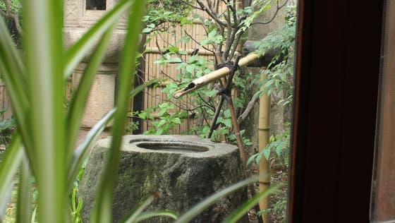 【竹ノ塚駅 / 浅草から電車で30分】築77年の国の登録文化財。洋館のある和風邸宅。撮影や会議・研修・前撮り写真でのご利用可能の写真16