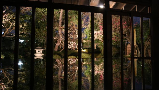 【竹ノ塚駅 / 浅草から電車で30分】築77年の国の登録文化財。洋館のある和風邸宅。撮影や会議・研修・前撮り写真でのご利用可能の写真14