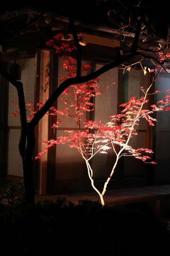 【竹ノ塚駅 / 浅草から電車で30分】築77年の国の登録文化財。洋館のある和風邸宅。撮影や会議・研修・前撮り写真でのご利用可能の写真27