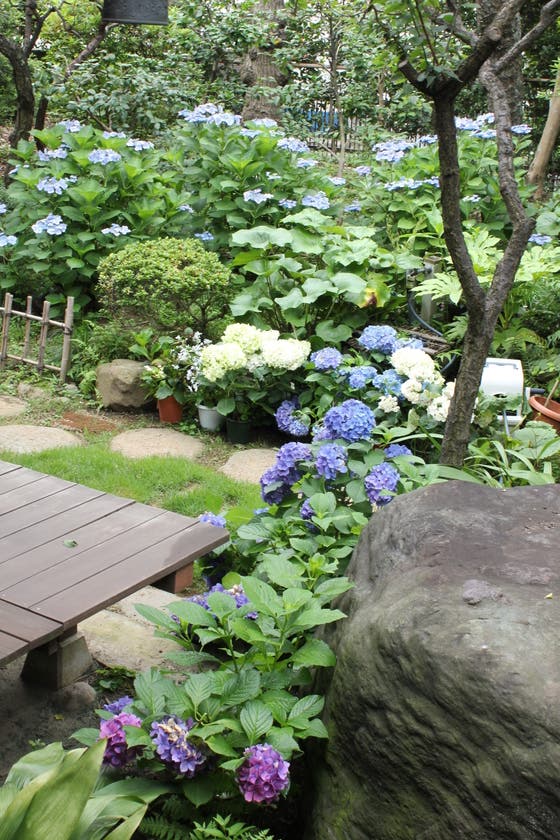 【竹ノ塚駅 / 浅草から電車で30分】築77年の国の登録文化財。洋館のある和風邸宅。撮影や会議・研修・前撮り写真でのご利用可能の写真25