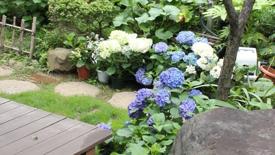 【竹ノ塚駅 / 浅草から電車で30分】築77年の国の登録文化財。洋館のある和風邸宅。撮影や会議・研修・前撮り写真でのご利用可能の写真25