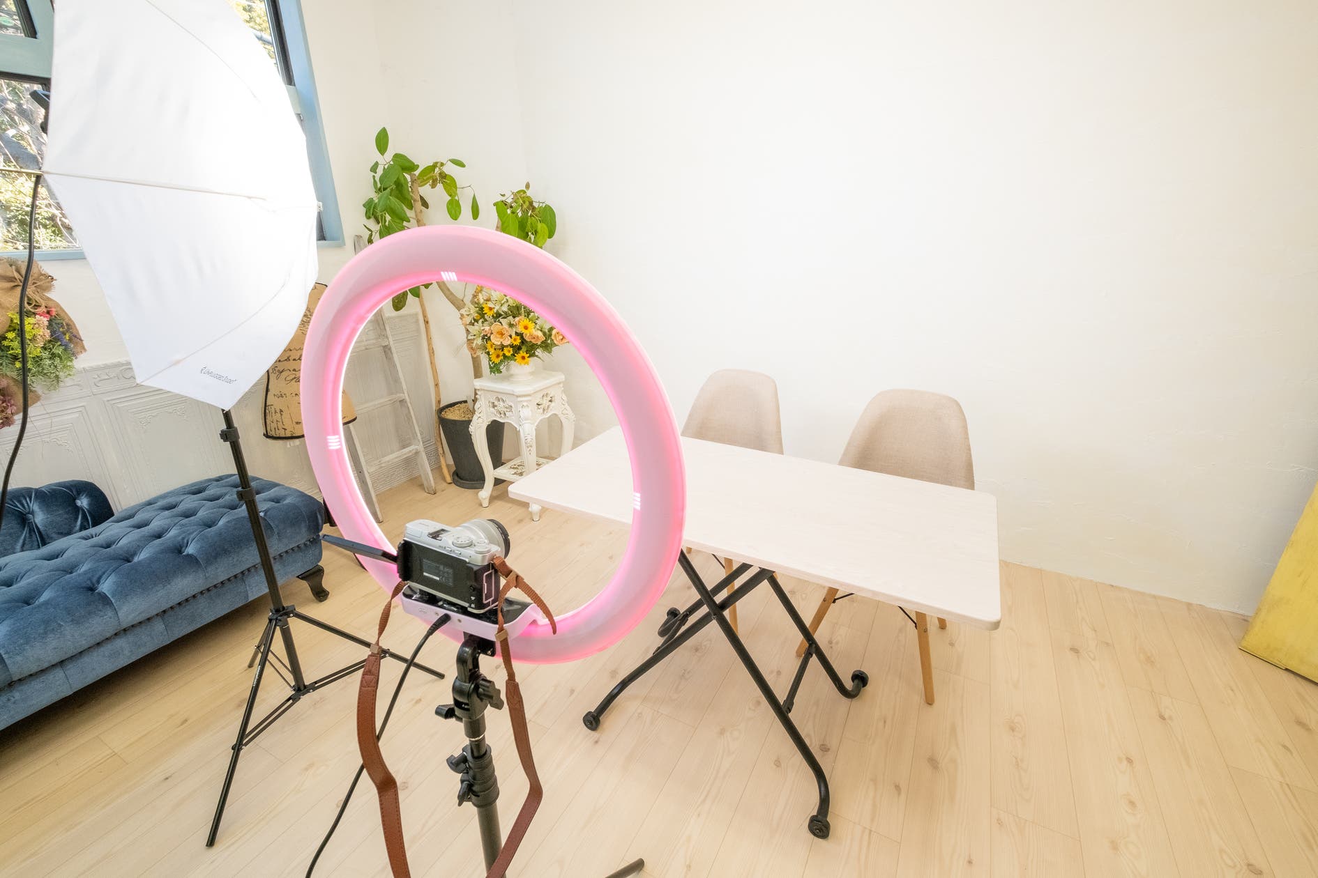 ＜柏の葉公園前＞一棟貸切・非対面で1時間2,136円～！大きな窓で自然光豊かなセルフ撮影スタジオですの写真12