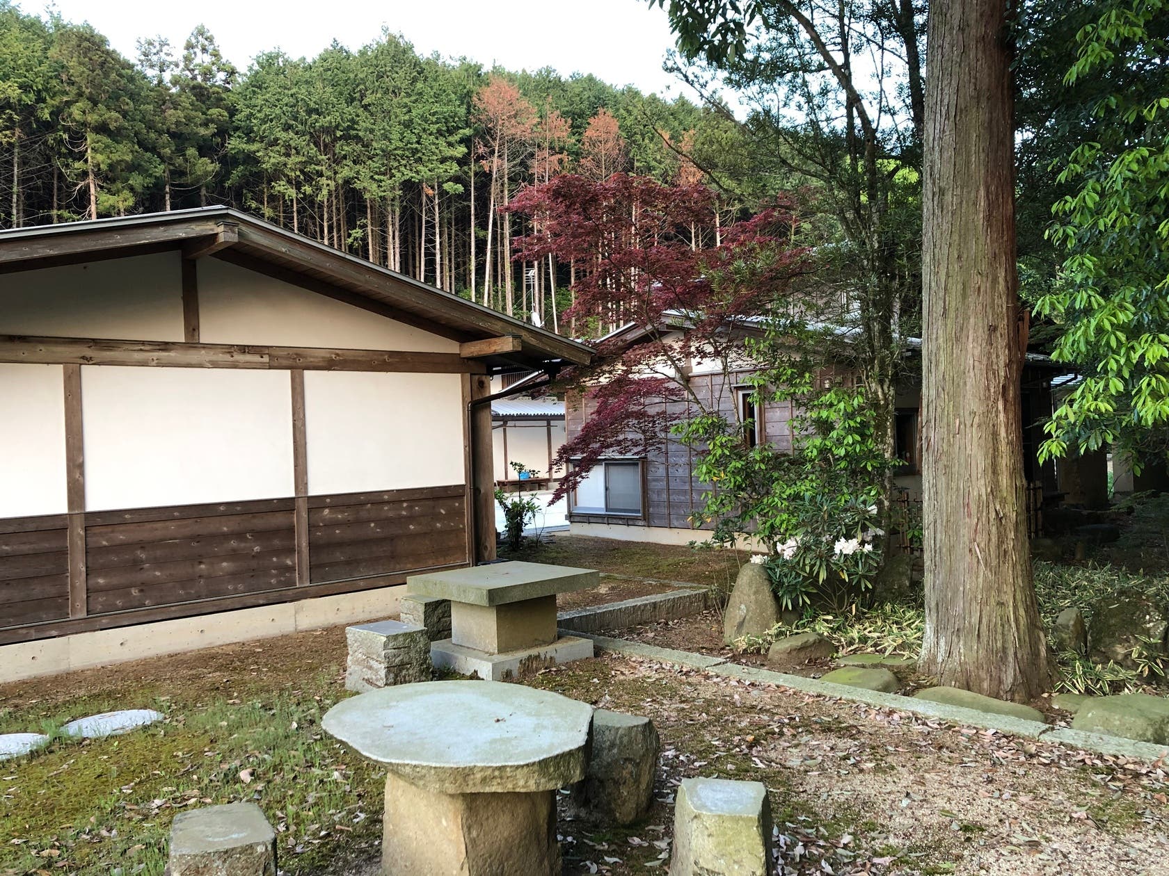 広すぎる庭のある山の中の平家の写真5