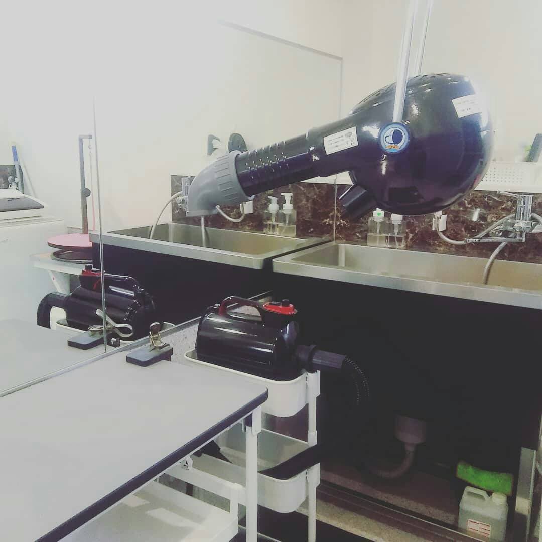 岡山初！ペットトリミング＆リラクゼーションシェアサロン！底コストで独立、空き時間の有効活用に！の写真9