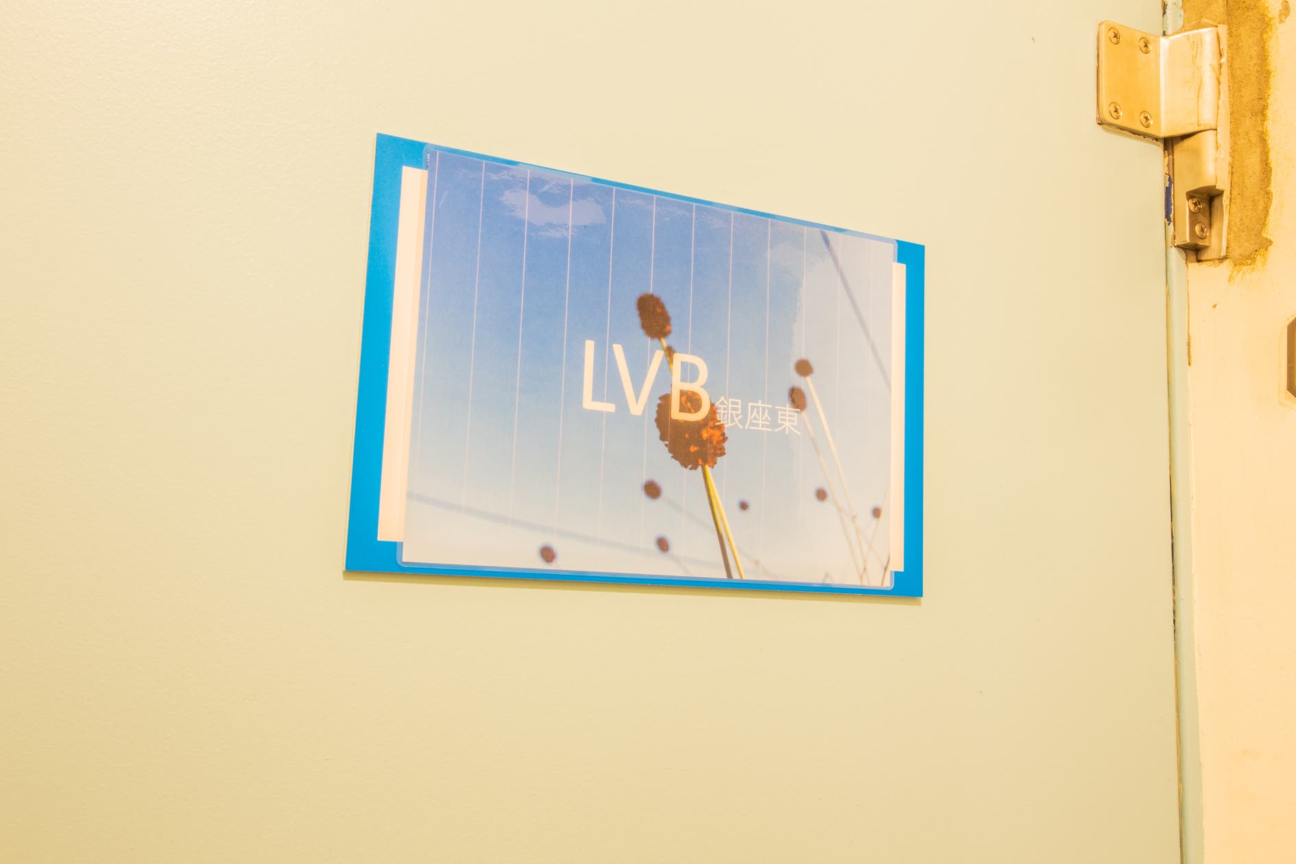 《LVB銀座東》新富町徒歩40秒/最大12名/キッチン付会議室/パーティスペース/無料Wifiテレワーク/スマホ撮影ライトの写真29