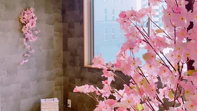 KABUKI【完全個室・毎回清掃】(なんば1駅)インドア花見🌸/歓迎会/誕生日会/女子会/コスプレ/撮影/パーティー/かわいいの写真3