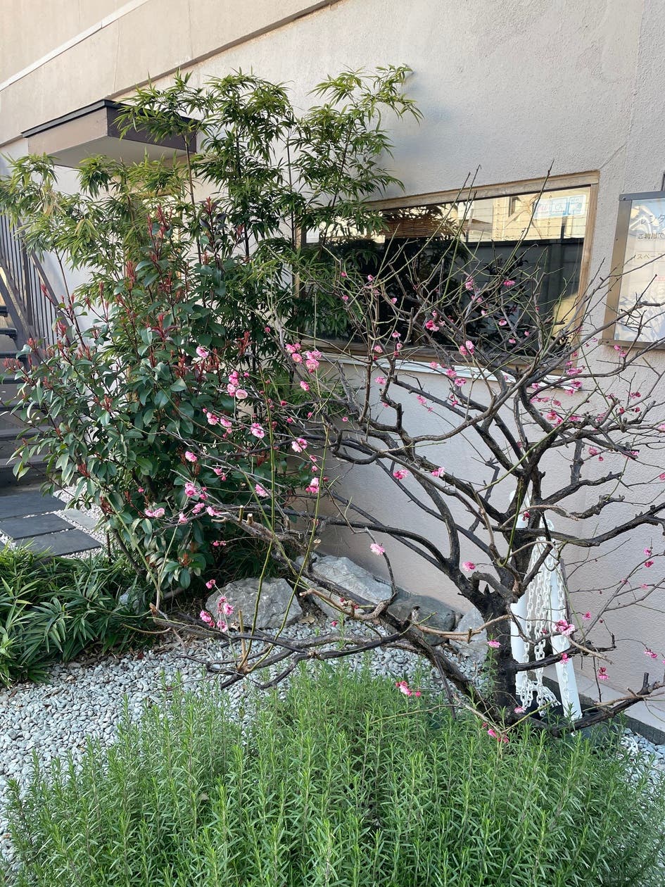 旧・台湾茶カフェ「霞月坊」オリエンタルな雰囲気抜群のスペース！お茶会・勉強会・展示会・撮影などに！の写真17