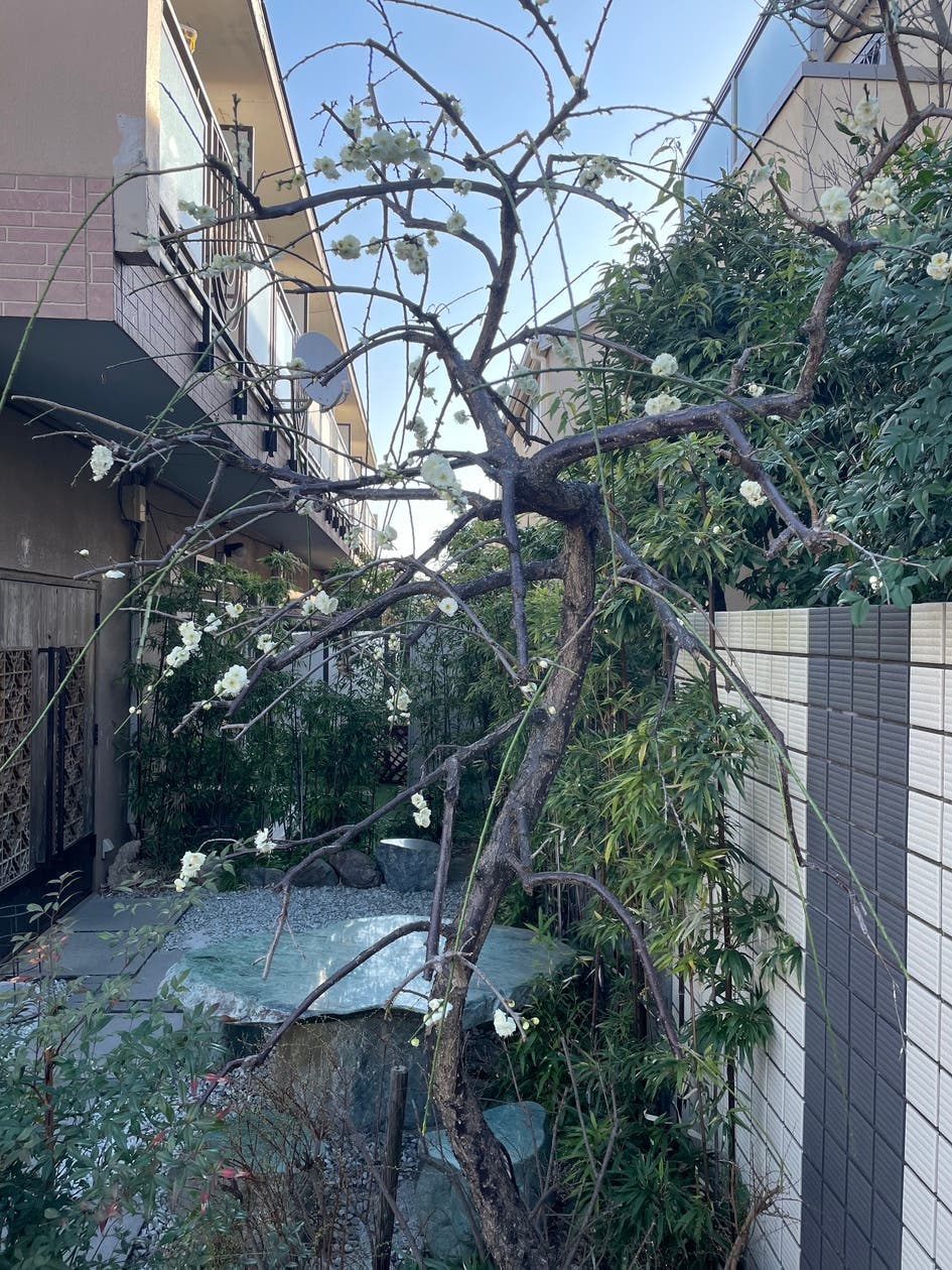 旧・台湾茶カフェ「霞月坊」オリエンタルな雰囲気抜群のスペース！お茶会・勉強会・展示会・撮影などに！の写真18