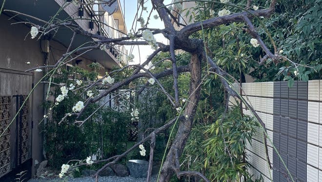 旧・台湾茶カフェ「霞月坊」オリエンタルな雰囲気抜群のスペース!お茶会・勉強会・展示会・撮影などに!の写真18