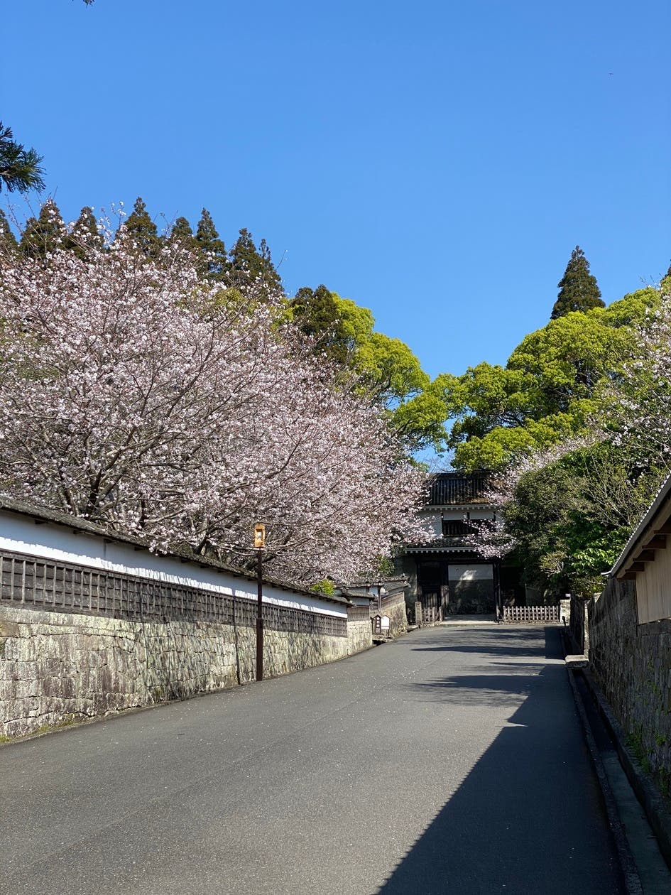 鯉が泳ぐ城下町にある貸スタジオ　会議・女子会・展示会・イベントなどOK！の写真10