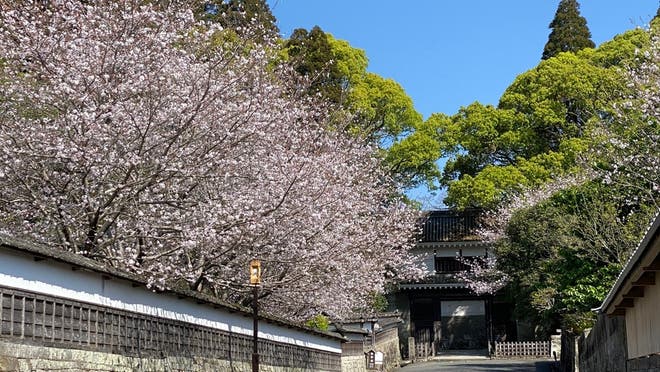 鯉が泳ぐ城下町にある貸スタジオ 会議・女子会・展示会・イベントなどOK!の写真10