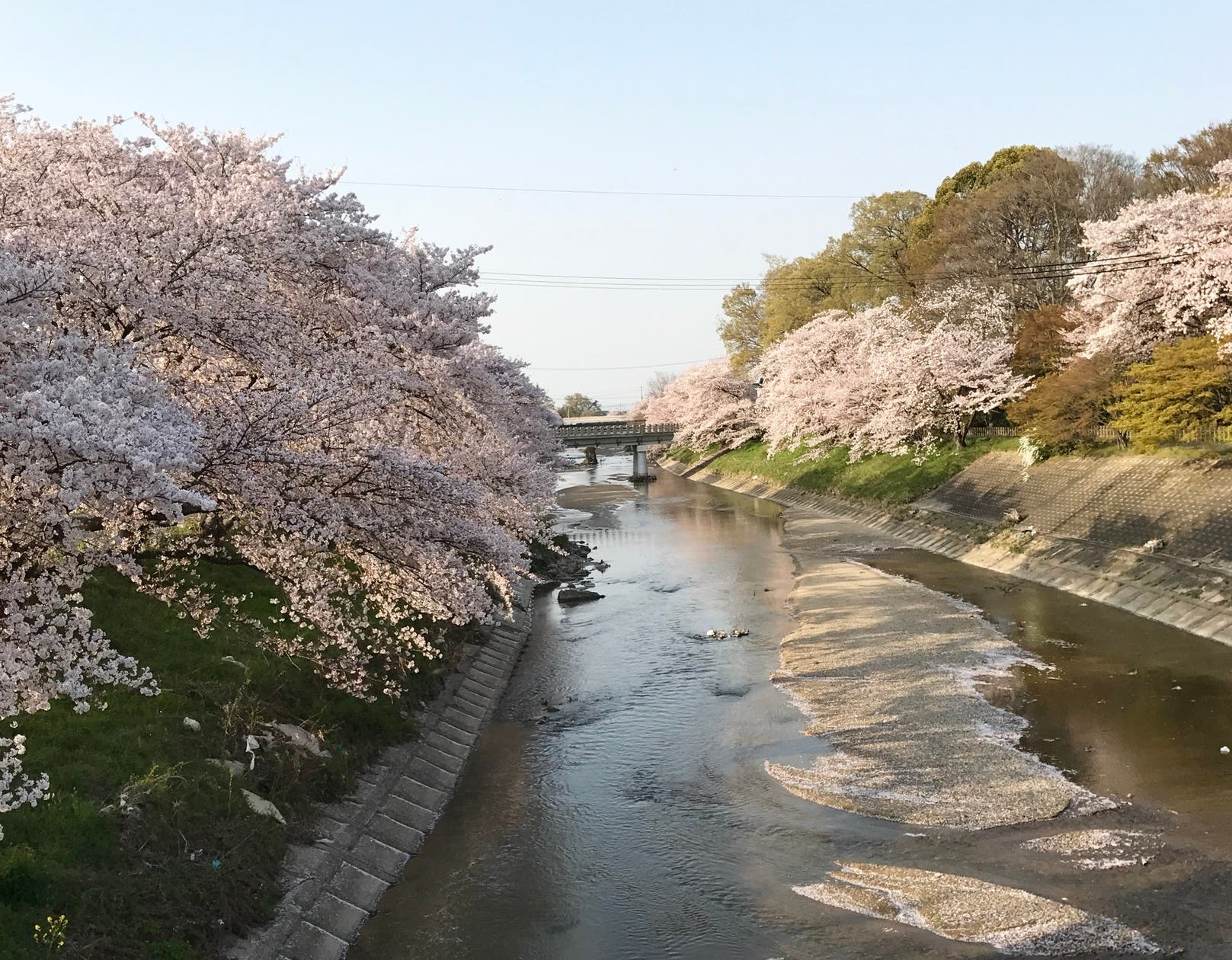 おばあちゃんの茶室 女子会・撮影・お茶会・茶道体験も！の写真10