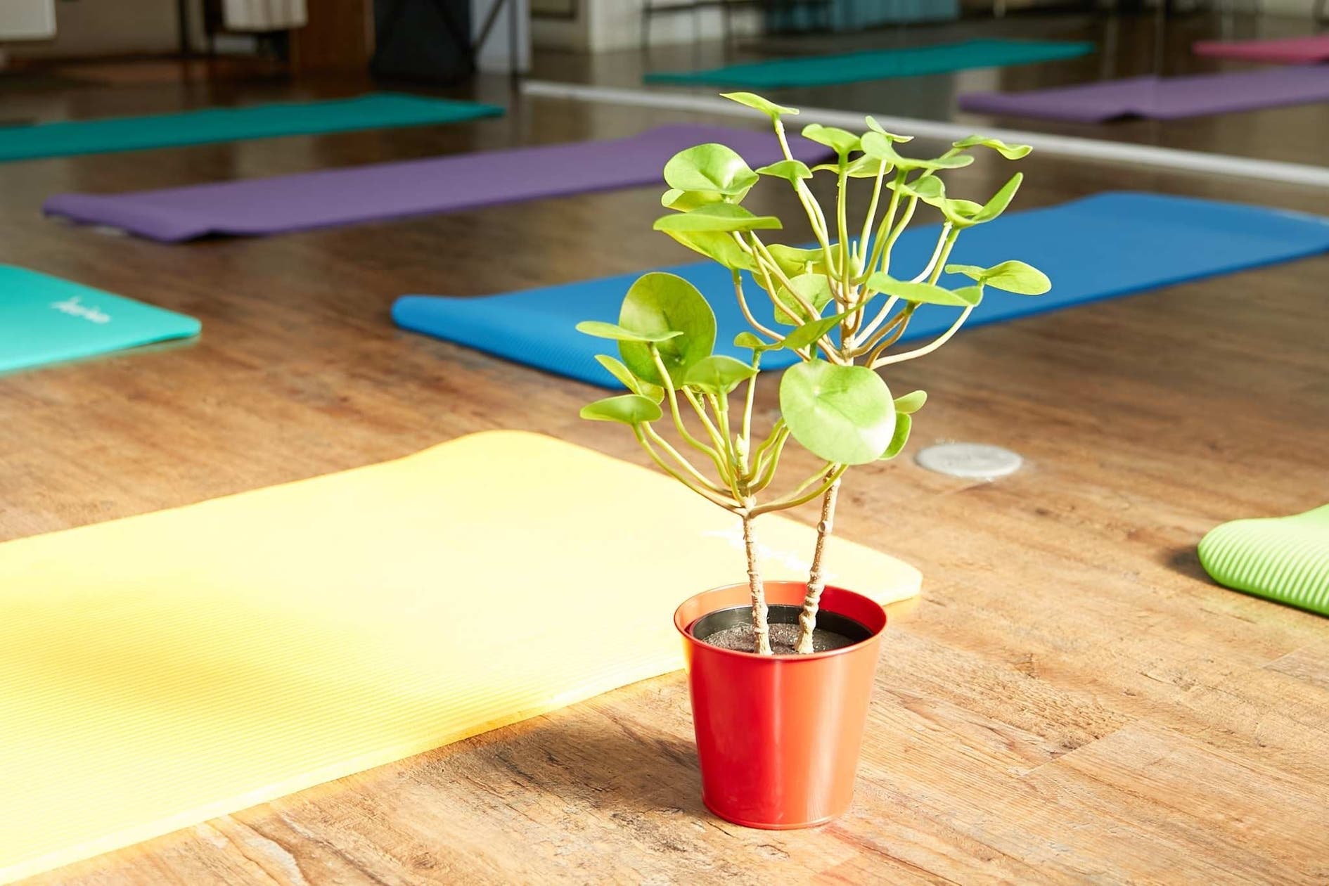 【駅近徒歩3分】ヨガ・軽いダンス・作業ができるリノベした綺麗なスタジオ♪の写真7