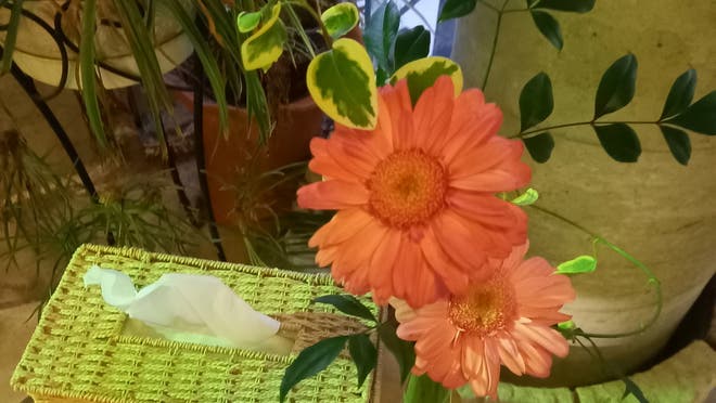 ラグジュアリーな広い店内 👑 ●人気の貸切プラン(^-^) の写真3