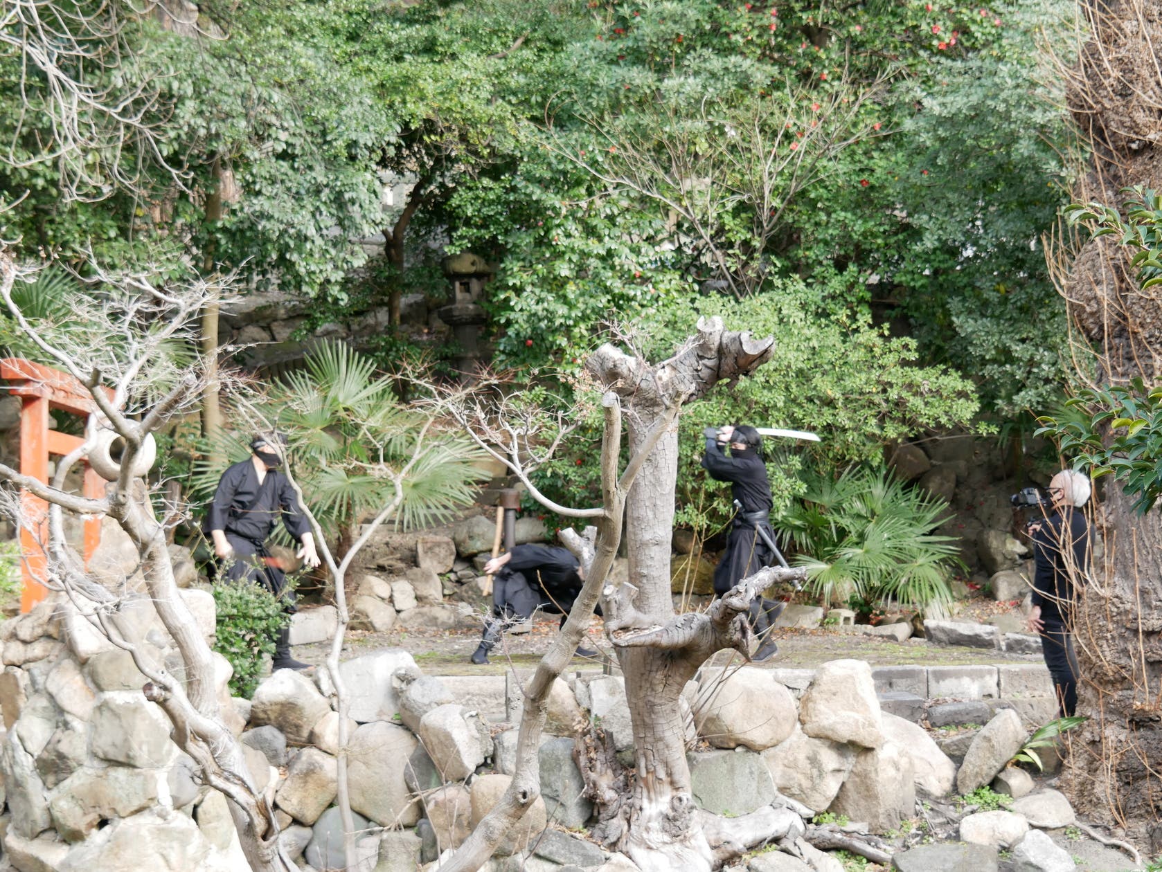 400年の歴史があるお寺の広間を開放します！〇〇会、〇〇撮影、会議利用など！の写真30