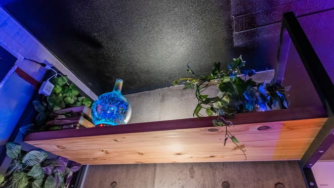 中野【大人の空間】大迫力!巨大スクリーンで映画、PS4、ダーツが楽しめる、超オシャレな空間です!の写真12