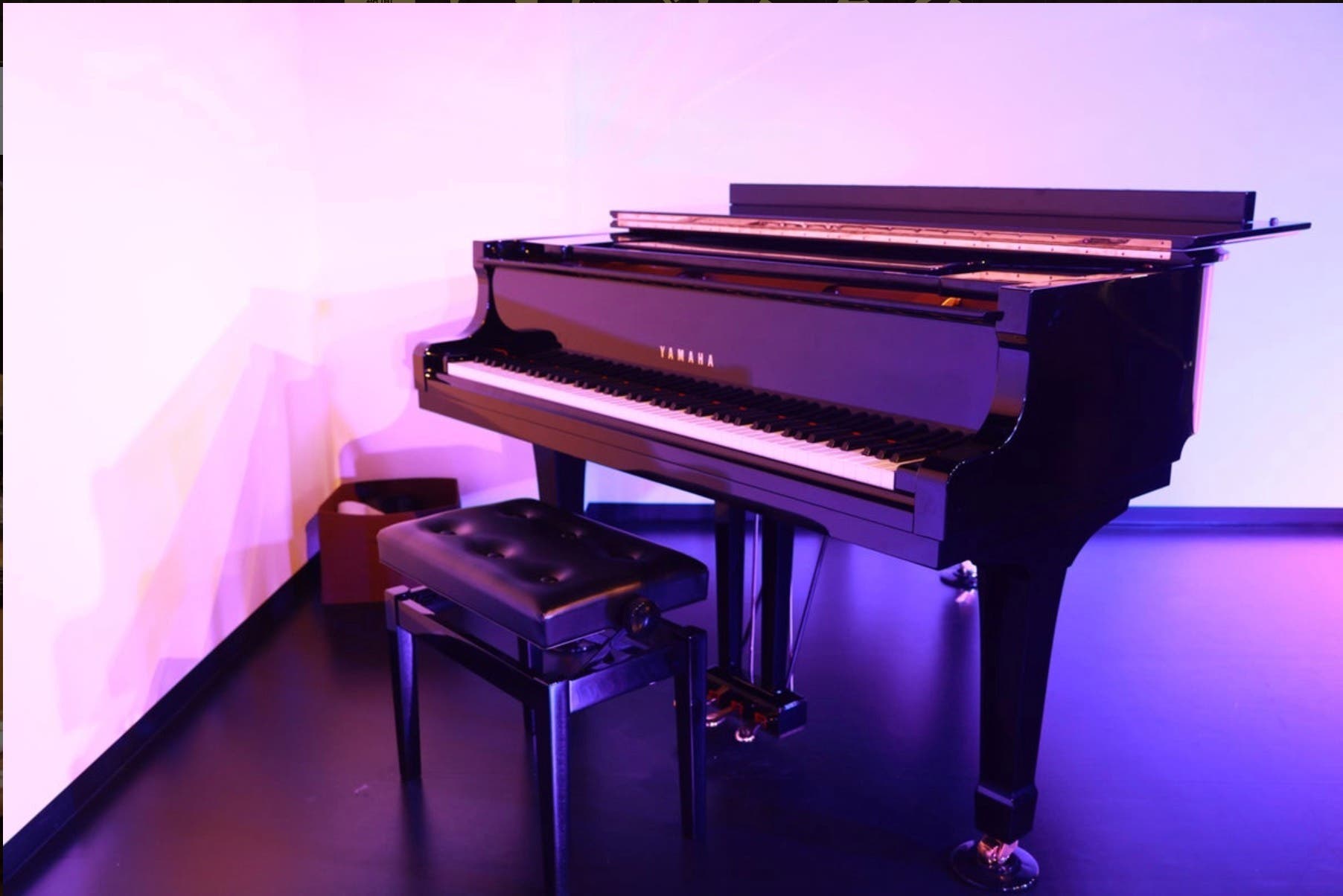 【ショーレストラン貸切】ステージ/グランドピアノ/音響照明/パーティー、イベント、ライブ可！【目白・椎名町】の写真11