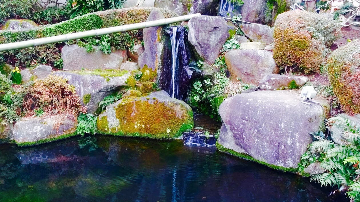 つくば　舘山城　／　桔梗の間　（つくば 貸切 スペース）の写真5