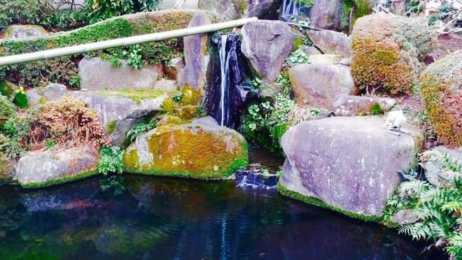 つくば 舘山城 / 桔梗の間 (つくば 貸切 スペース)の写真5