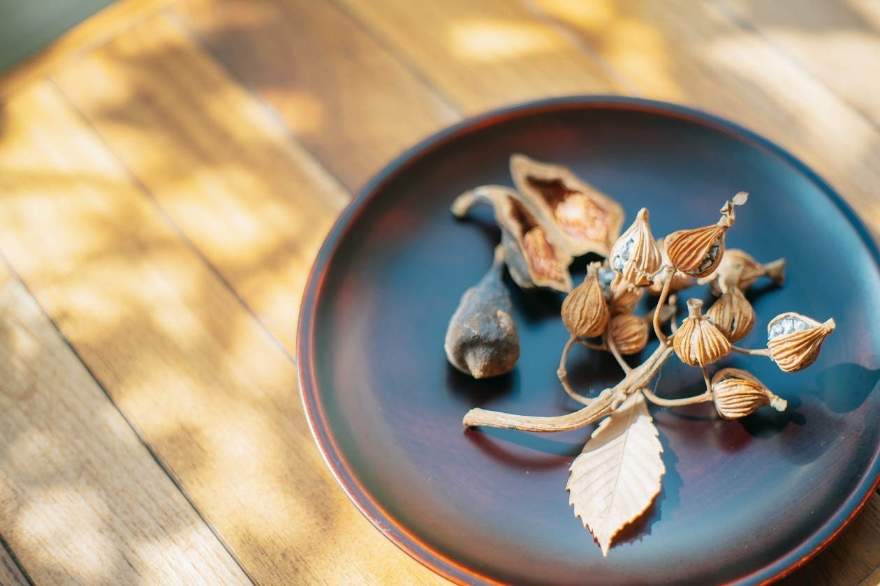 【駅徒歩5分、撮影・収録に】窓からの木漏れ日、大きな本棚が好評。フローリング、大きな窓は開放感があり、風通し抜群。の写真13