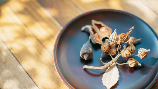 【駅徒歩5分、撮影・収録に】窓からの木漏れ日、大きな本棚が好評。フローリング、大きな窓は開放感があり、風通し抜群。の写真13