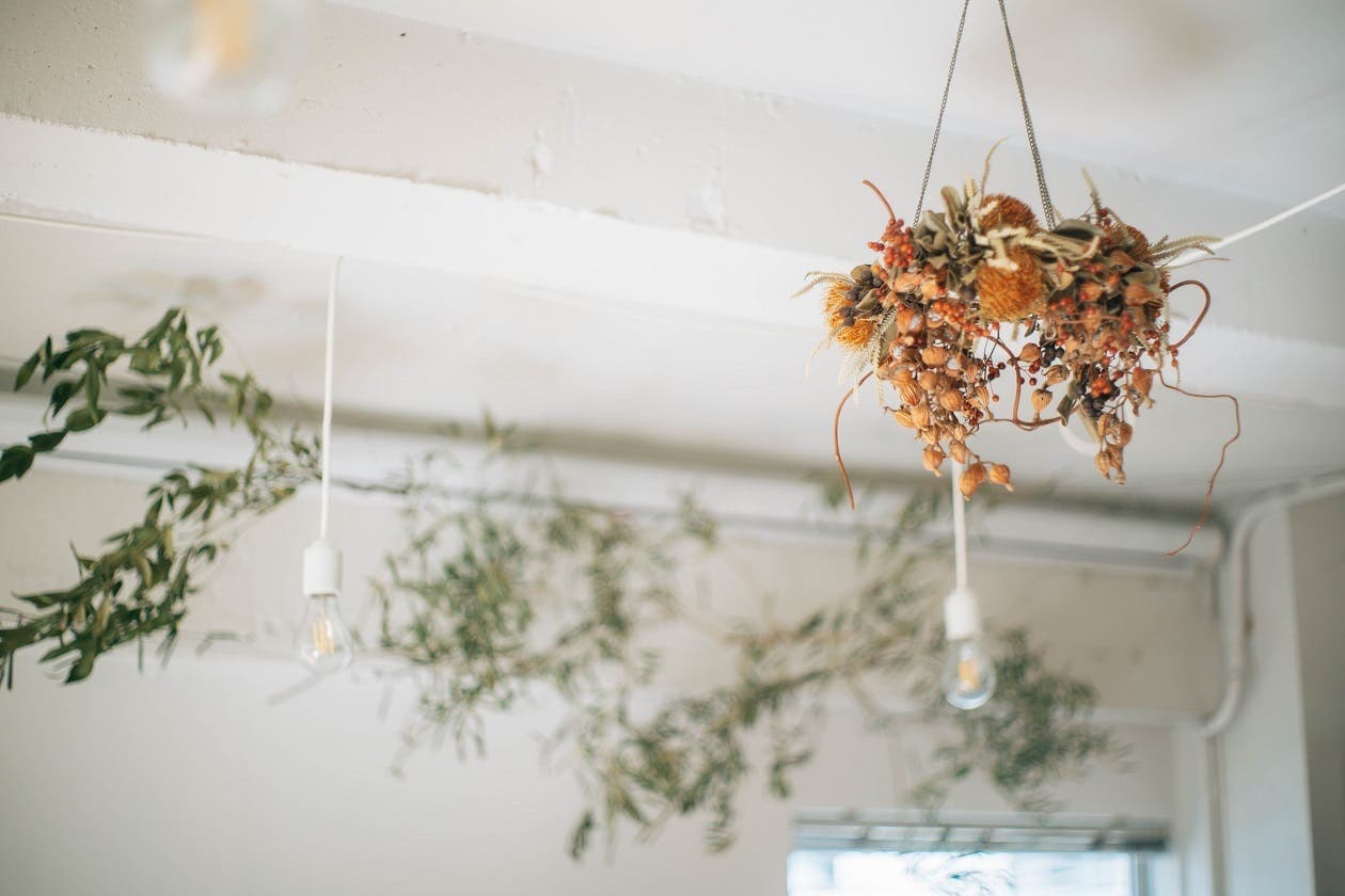 【駅徒歩5分、撮影・収録に】窓からの木漏れ日、大きな本棚が好評。フローリング、大きな窓は開放感があり、風通し抜群。の写真19