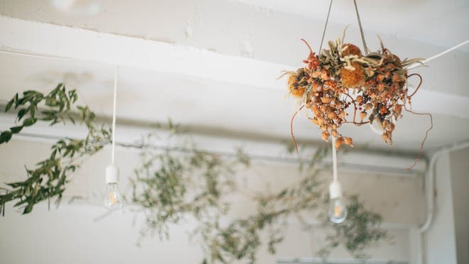 【駅徒歩5分、撮影・収録に】窓からの木漏れ日、大きな本棚が好評。フローリング、大きな窓は開放感があり、風通し抜群。の写真19