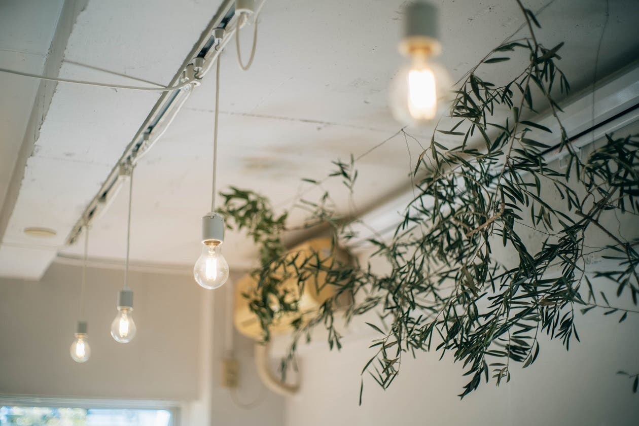 【駅徒歩5分、撮影・収録に】窓からの木漏れ日、大きな本棚が好評。フローリング、大きな窓は開放感があり、風通し抜群。の写真20