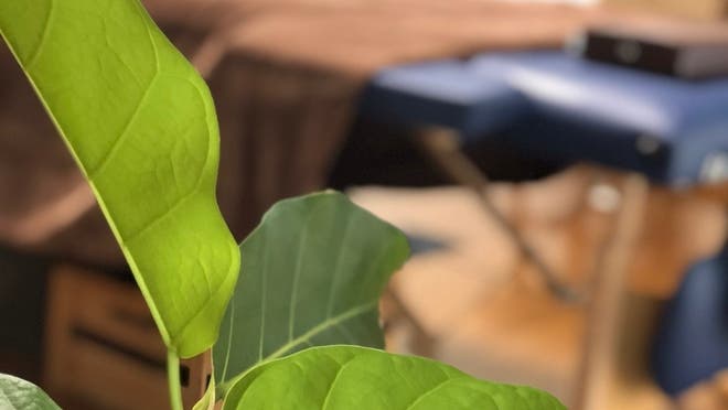 【エステルーム本館】岩倉駅近♪駐車場有✨ブラウンを基調としたナチュラル空間☆てぶらでOK!くつろぎ空間|整体マッサージ|🛜の写真3