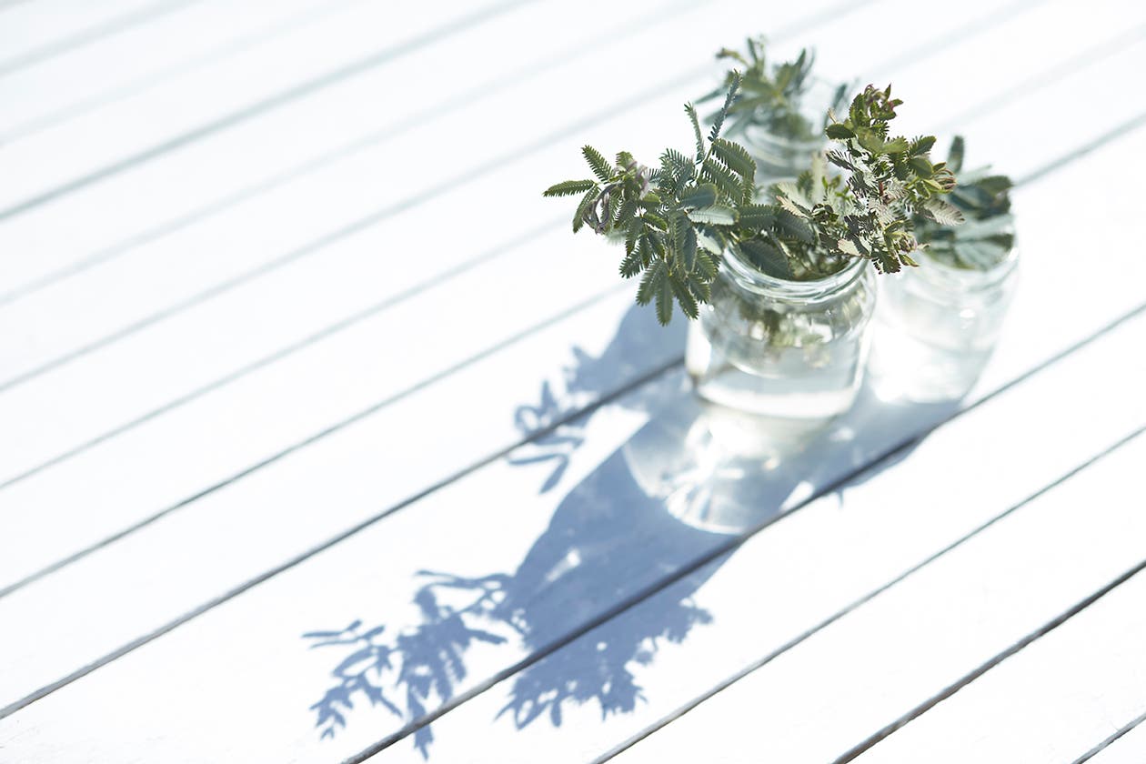 古民家を丸ごと一軒貸切りＢＢＱやパーティー・会議など！！の写真9