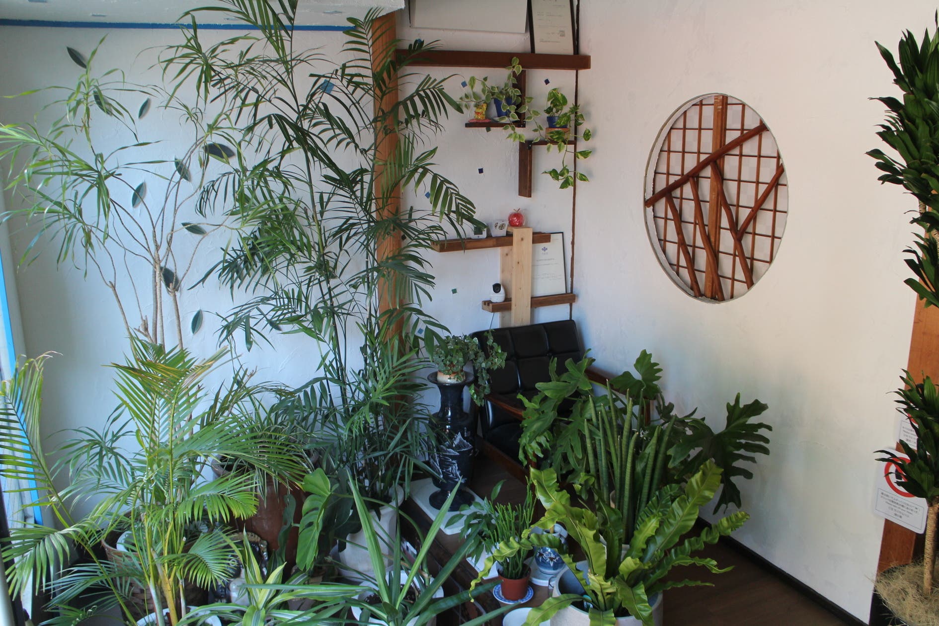 和風建築のお宿の一室でコスプレ撮影の写真6