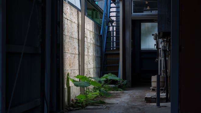 Tanabata Lab Studioの写真9