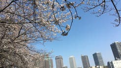 隅田川沿いの公園隣!雨も安心・屋内で本格BBQ!飲食店20席(立食30名まで)・炭焼き台/ガスコンロ3口/キッチン利用込の写真3