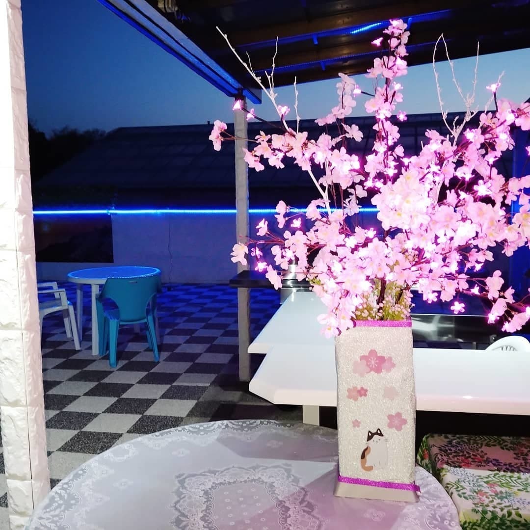 貸切Pool side BBQ in 川島町の写真22