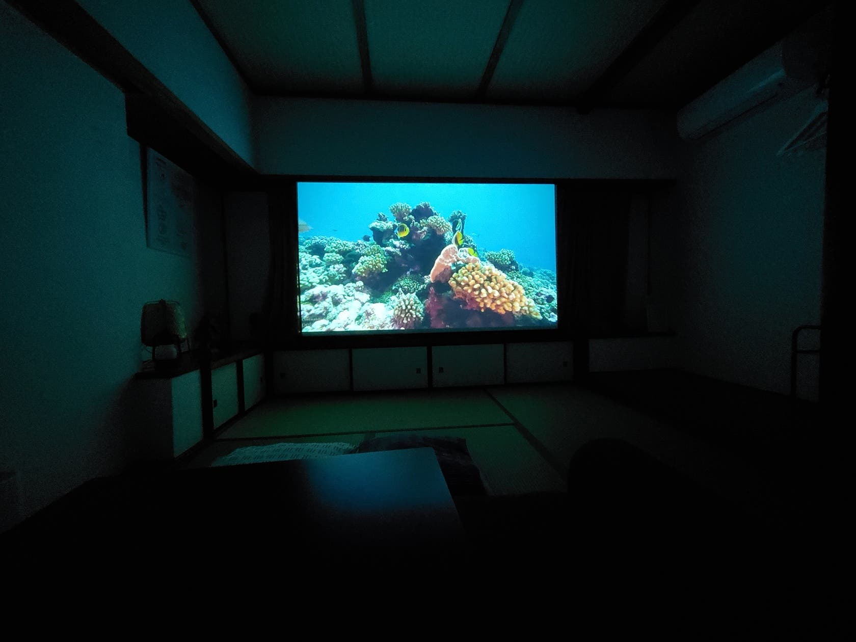 プロジェクター、１００インチスクリーンの画像2