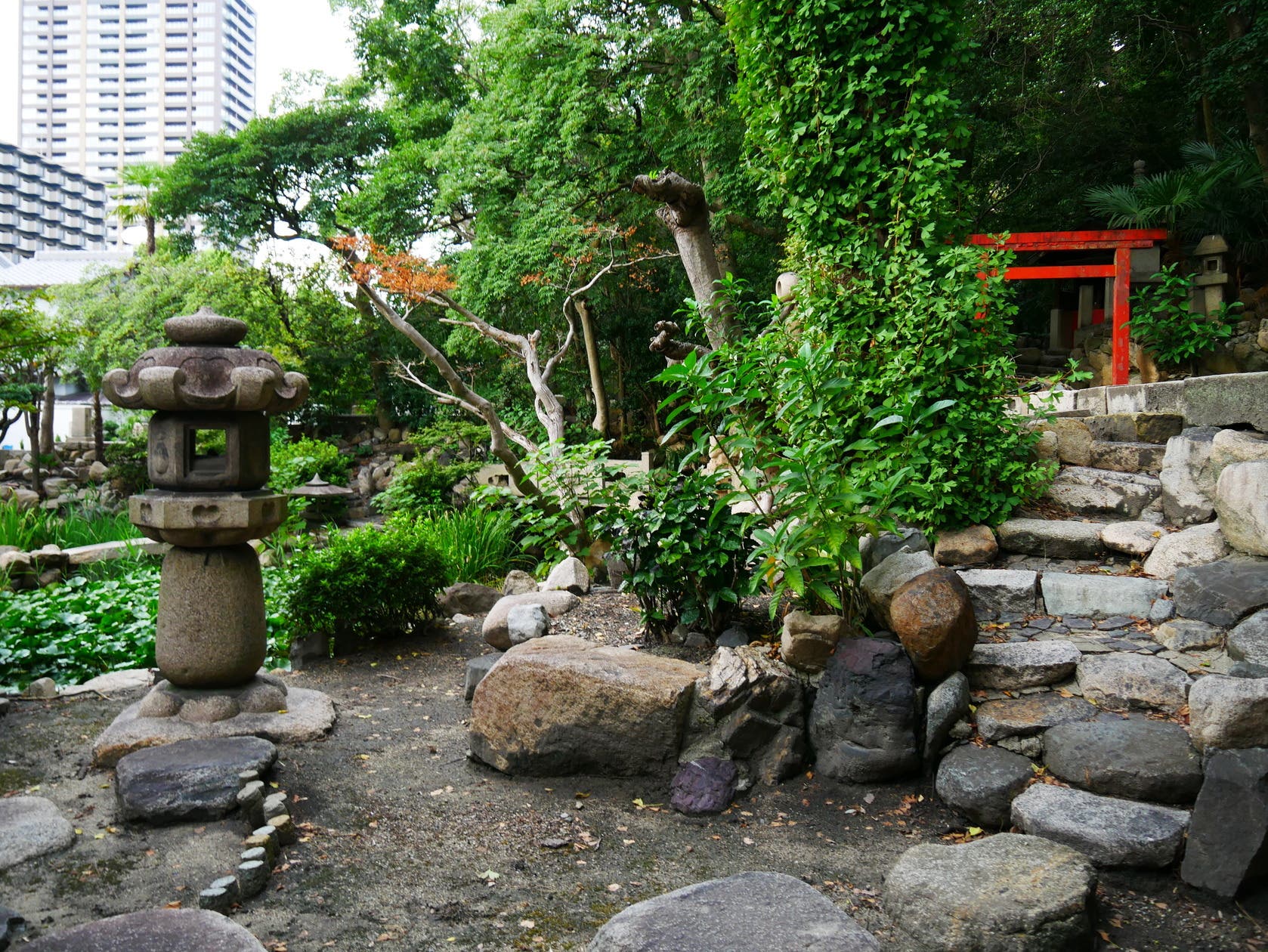 庭園レンタルの画像1