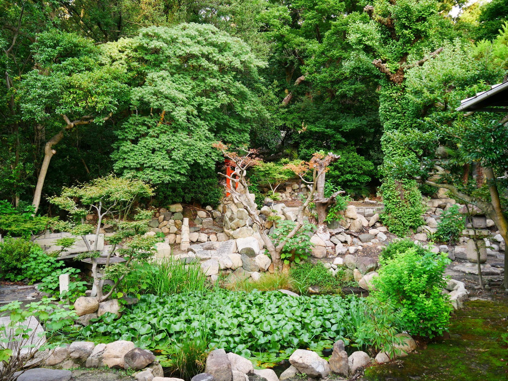 庭園レンタルの画像4