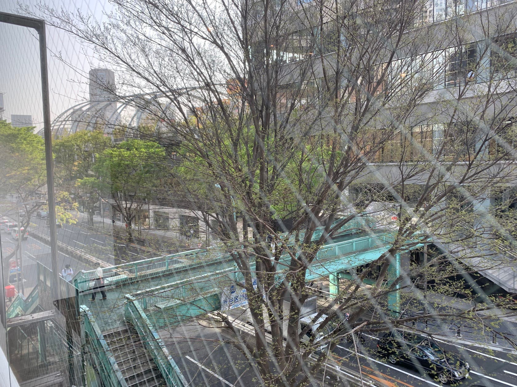 【渋谷駅徒歩3分】宮下パーク向かい！眺めの良い清潔感溢れるパーソナルレンタルジム <5in1マルチファンクショナルマシン導入>の写真24