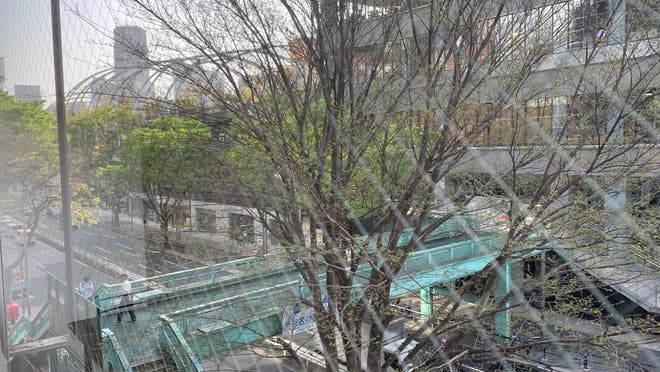 【渋谷駅徒歩3分】宮下パーク向かい!眺めの良い清潔感溢れるパーソナルレンタルジム <5in1マルチファンクショナルマシン導入>の写真24