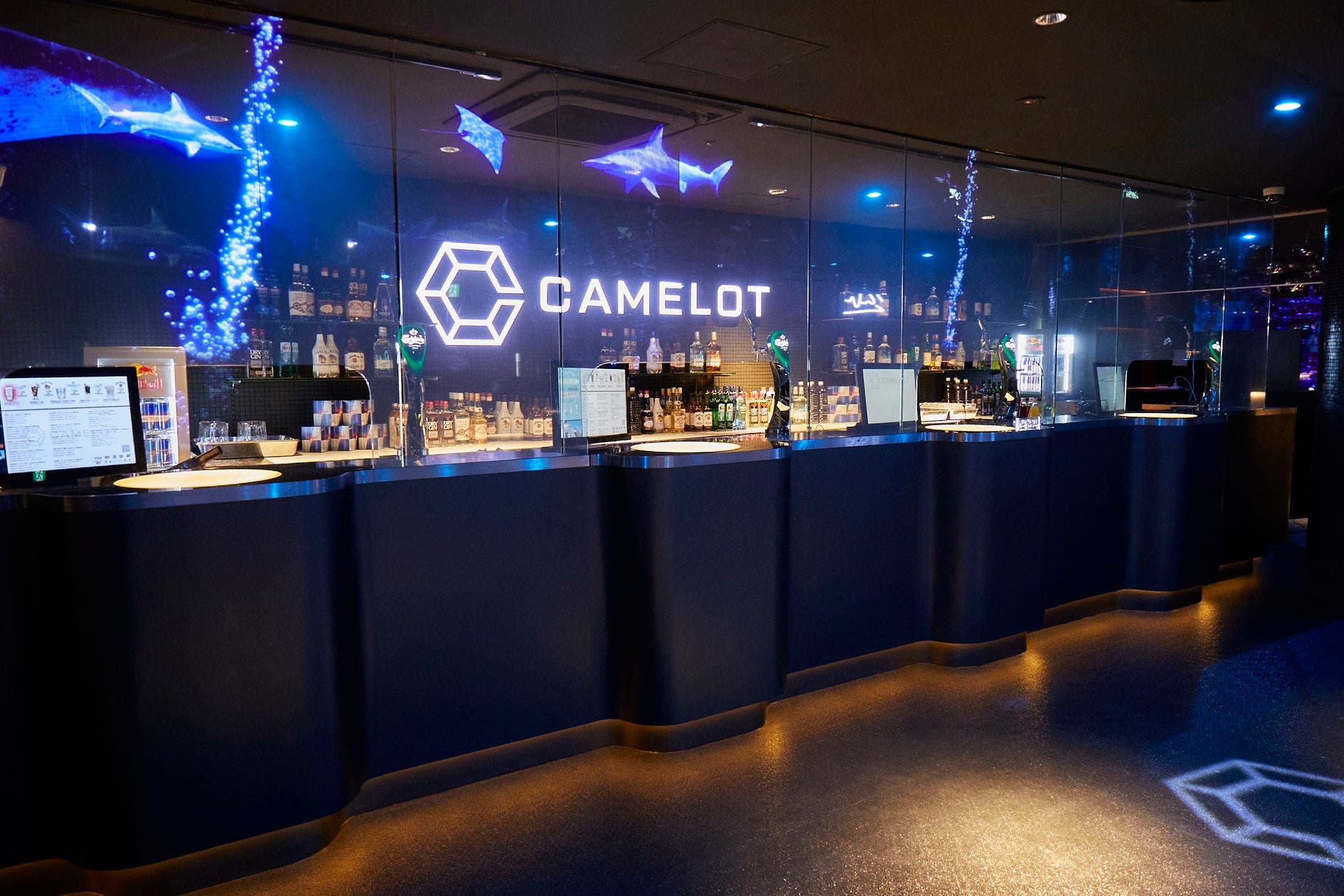 CAMELOT B3 FLOORの写真2