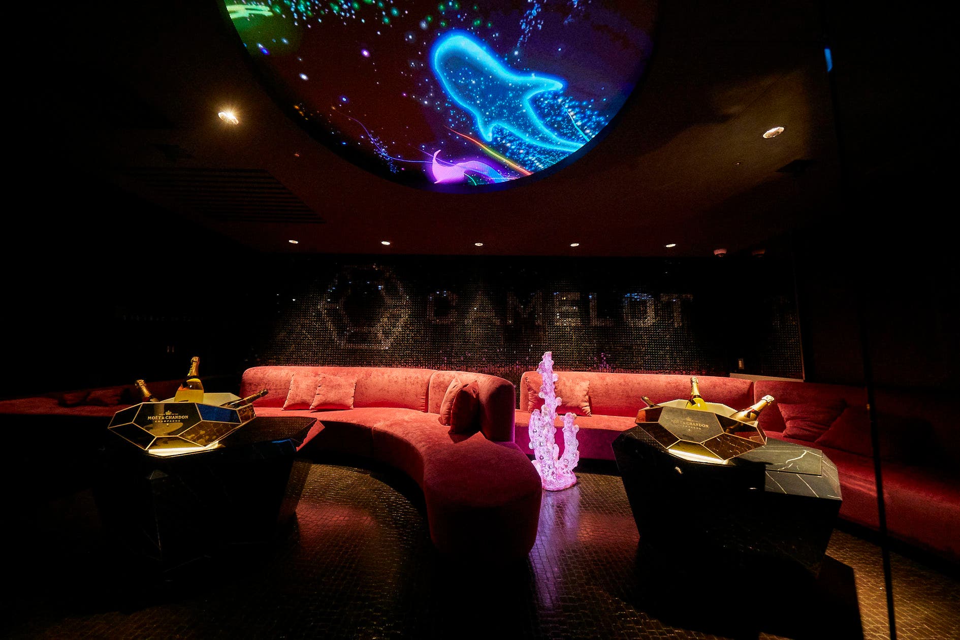 CAMELOT B3 FLOORの写真4