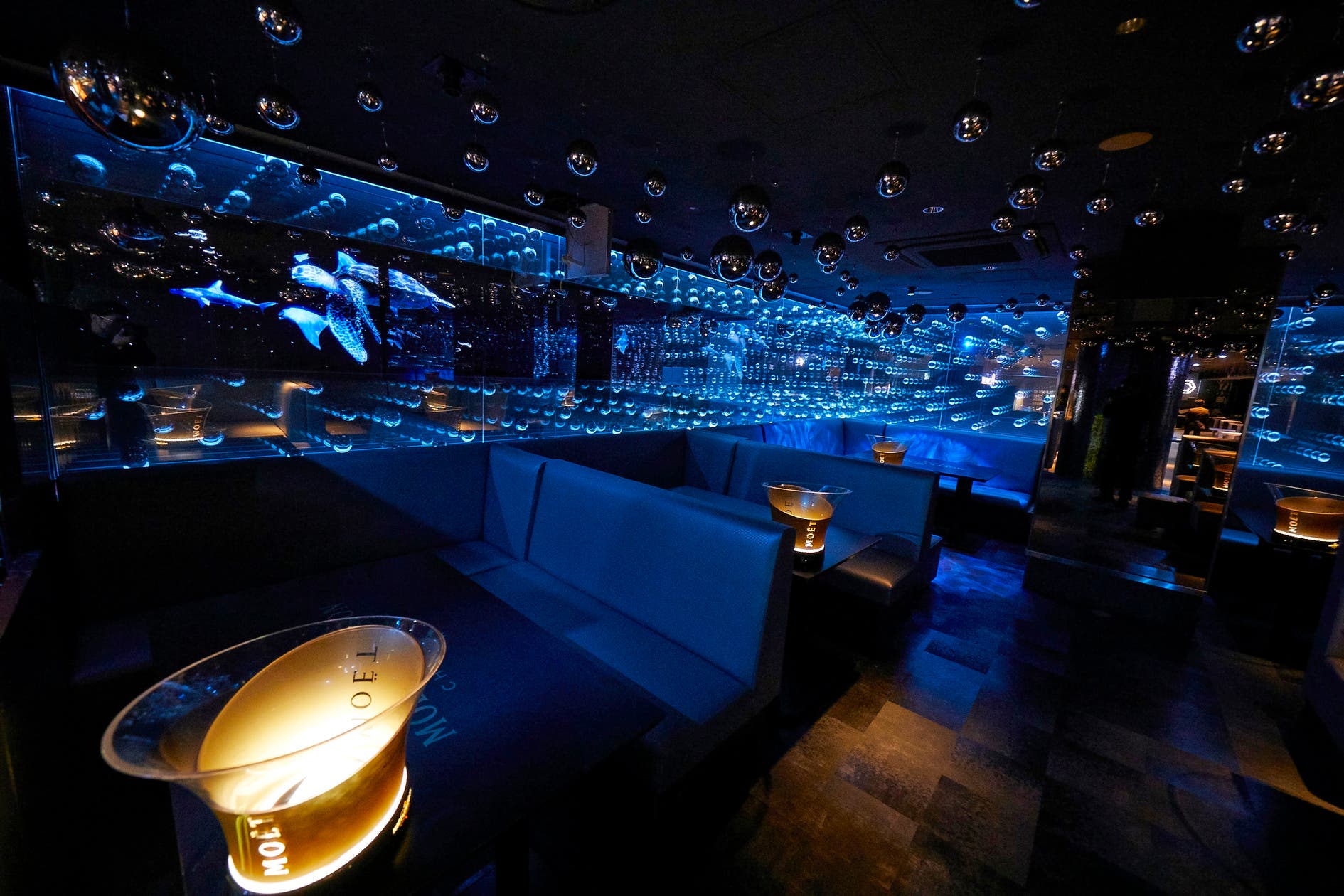 CAMELOT B3 FLOORの写真5